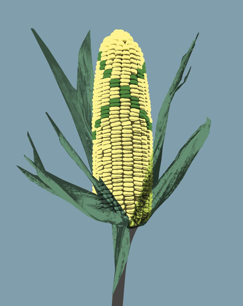 How will we feed the future and save the planet? | Hub