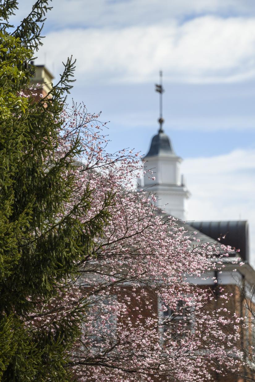 Johns Hopkins graduate programs ranked among nation's best | Hub