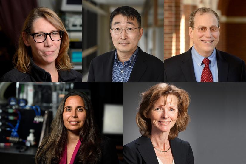 Five Johns Hopkins scholars elected to AIMBE College of Fellows | Hub