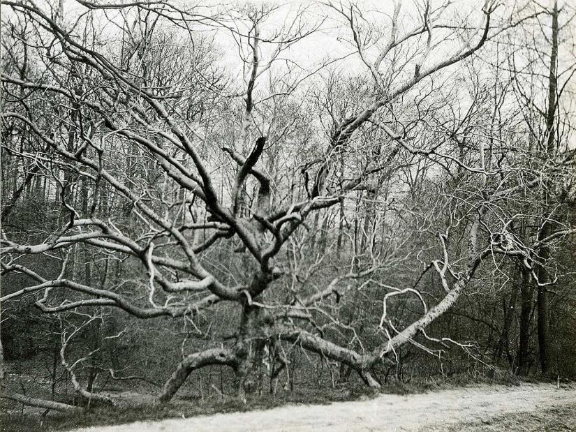 Forgotten 'ghost river' runs beneath JHU's Homewood campus | Hub