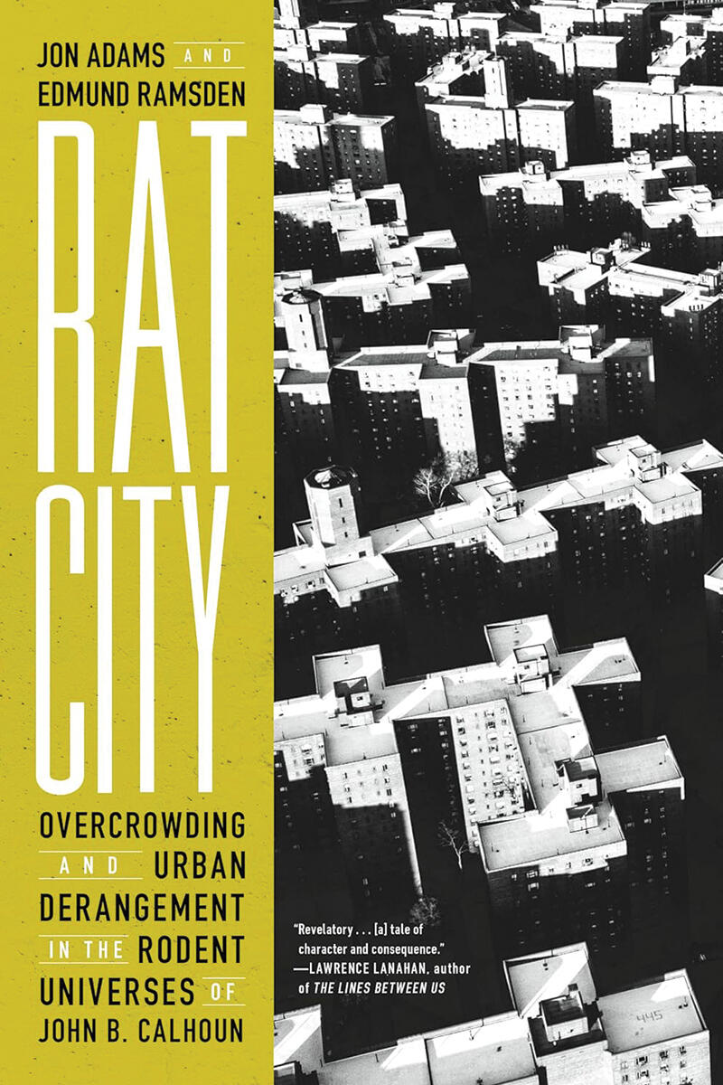 Book review: 'Rat City' | Hub