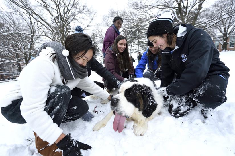 Snow photos: First snowfall of 2019 | Hub