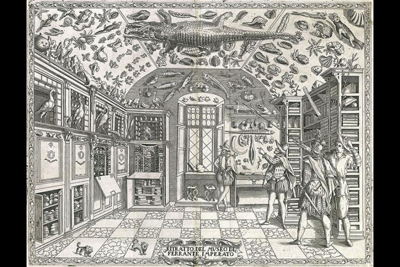 How a rare, stolen book ended up in the Sheridan Libraries | Hub