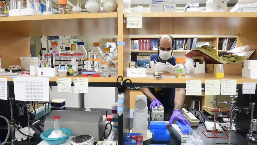 Researchers return to the lab, but it's far from business as usual | Hub