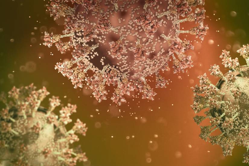 Making sense of the messiness of omicron | Hub