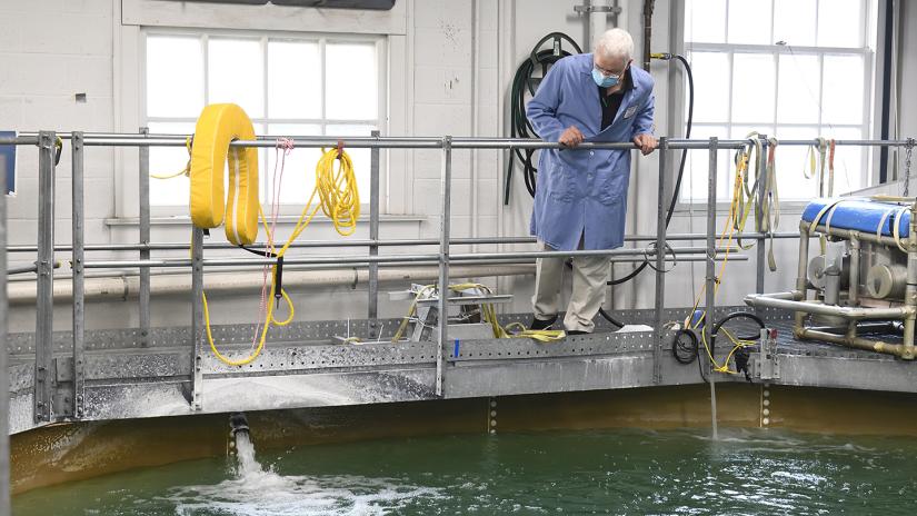 Researchers return to the lab, but it's far from business as usual | Hub