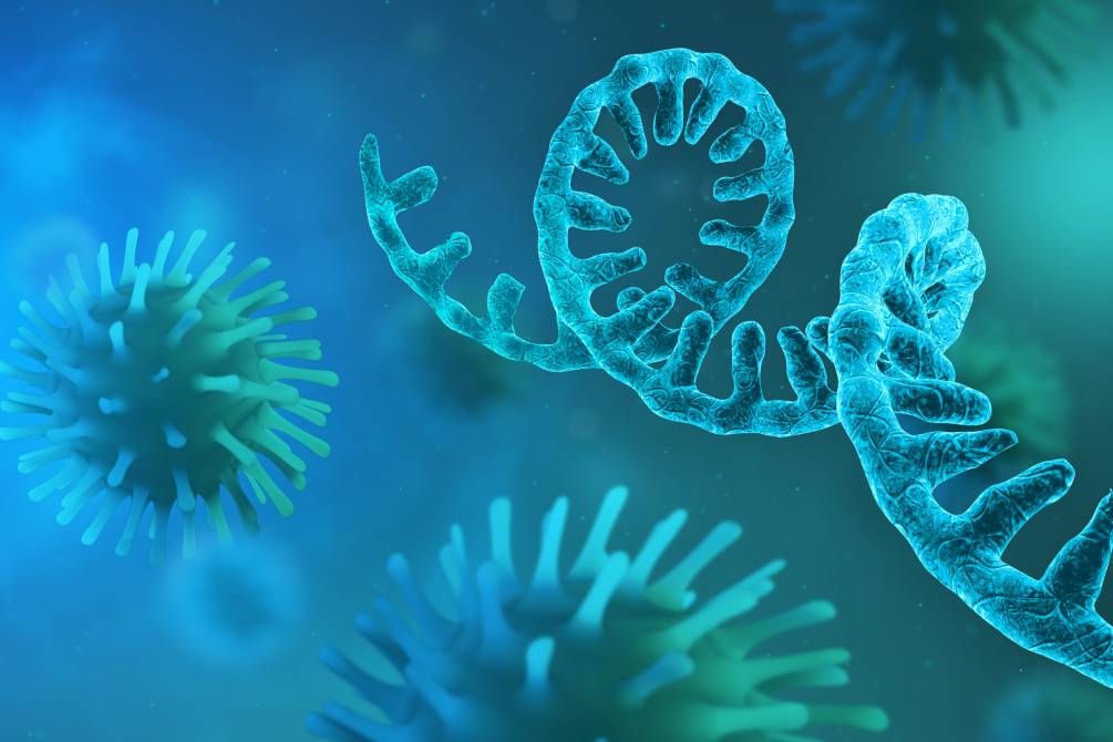 Institute for nanobiotechnology | Archived articles | Hub