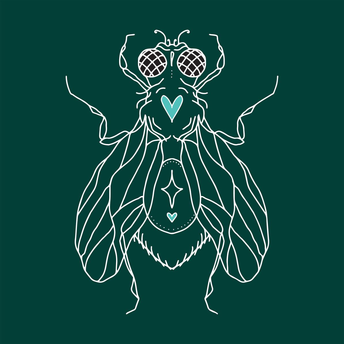 Mapping the insect brain | Hub