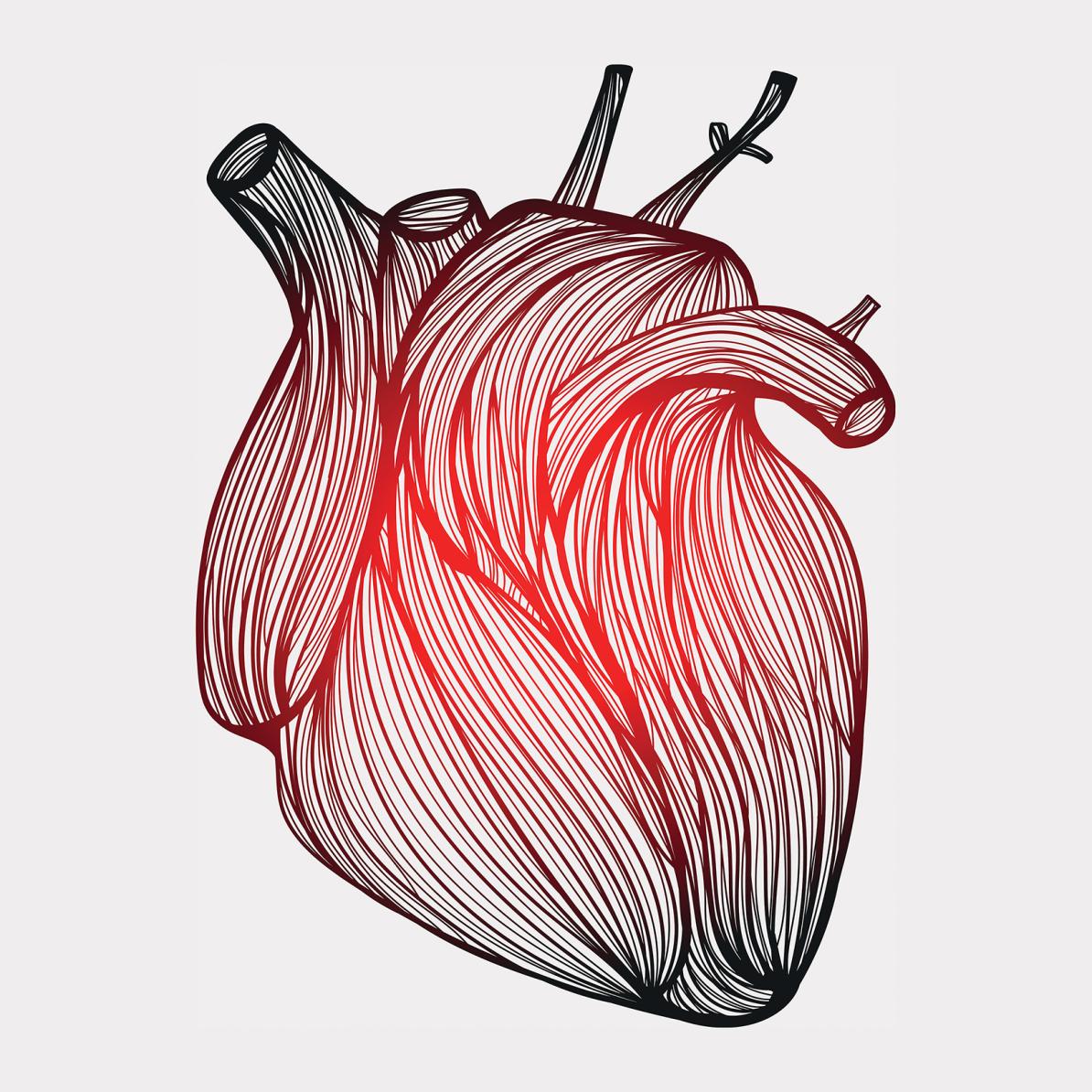 Universal risk predictor for cardiovascular disease | Hub