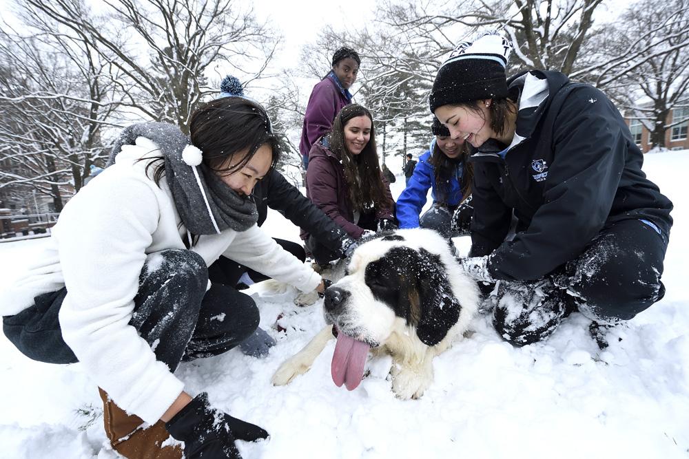 Snow photos: First snowfall of 2019 | Hub