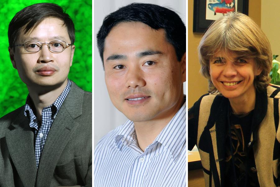 Three researchers from JHU named AAAS fellows | Hub