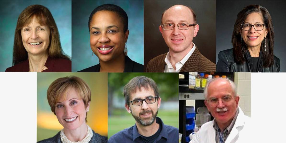 Seven Johns Hopkins researchers named AAAS fellows | Hub