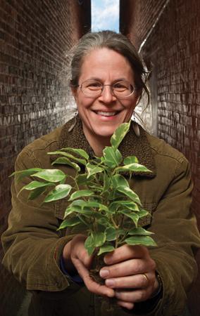 Out of the woods | Hub