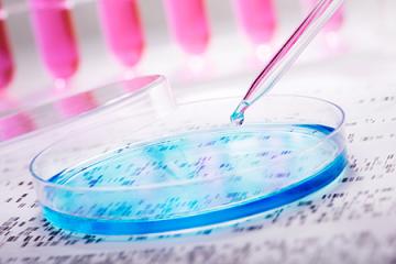 Are mistletoe extract injections the next big thing in cancer therapy ...