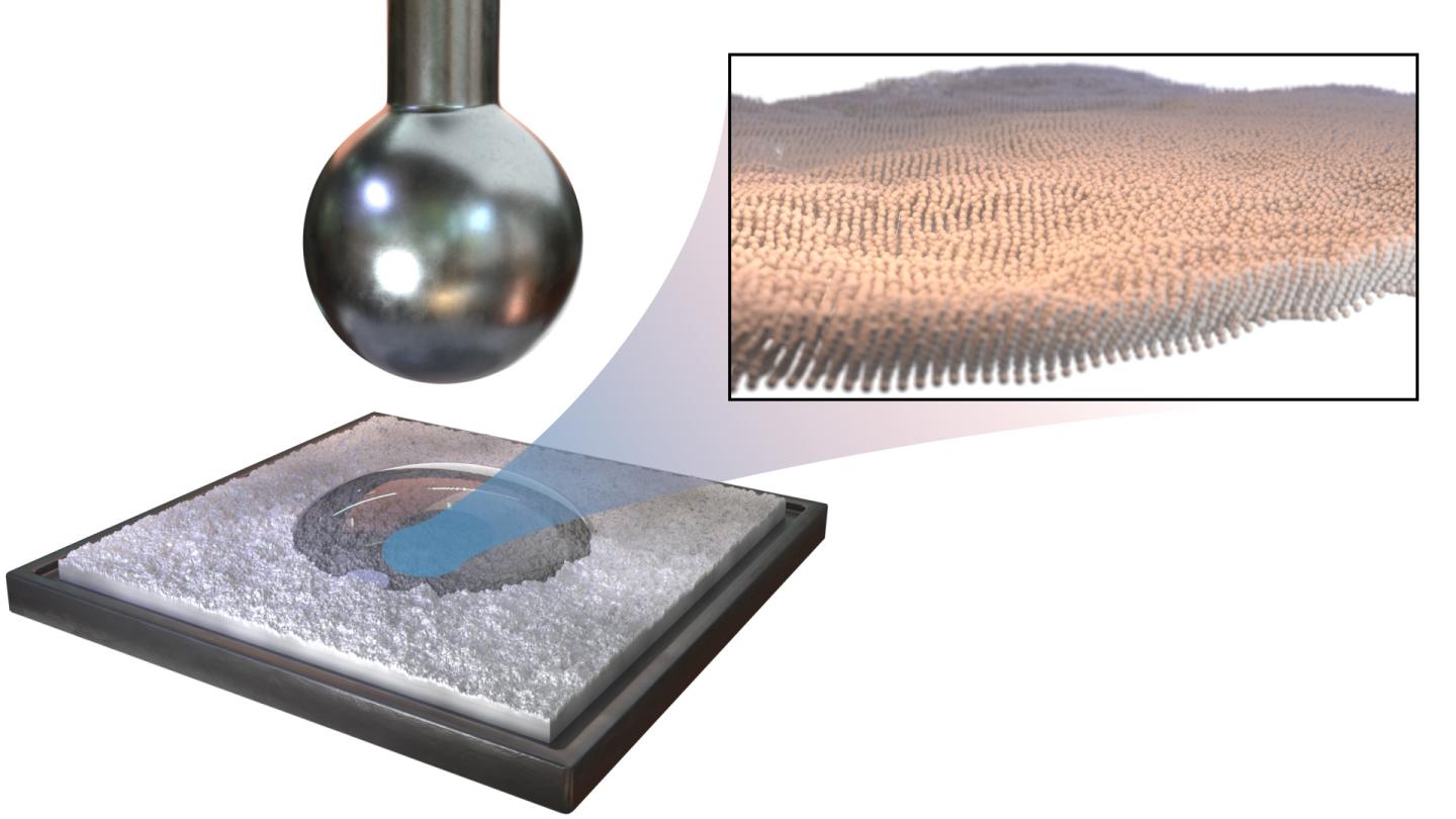 Science friction: Study links nano and macro aspects of everyday force ...