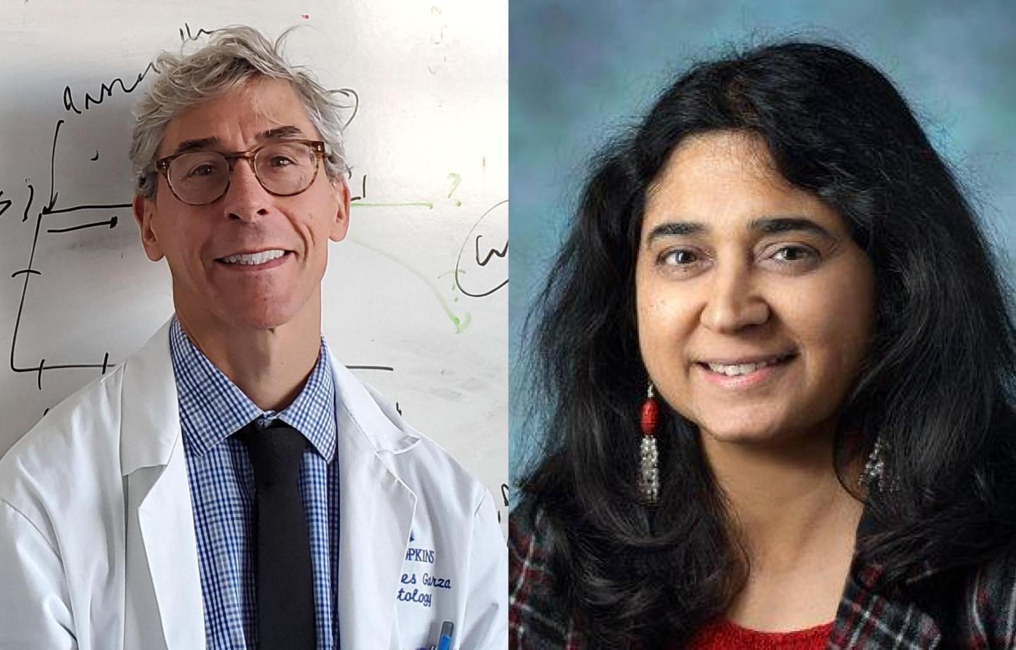 Fannie Gaston-Johansson Faculty of Excellence Program cluster award ...