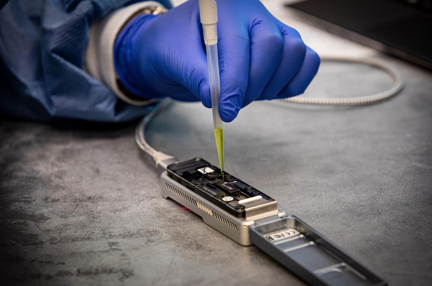 The role of genomic sequencing in combating COVID-19 | Hub