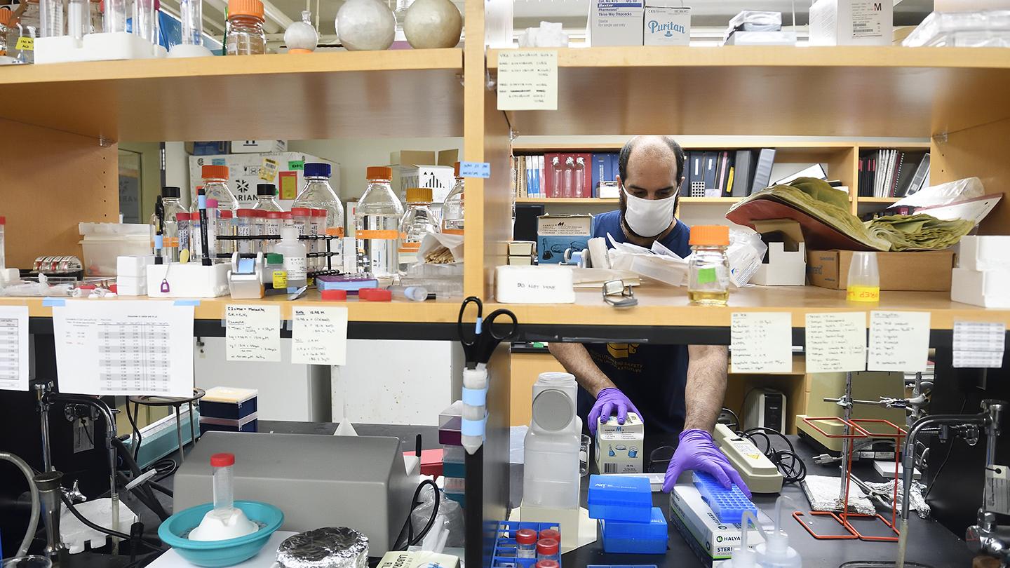 Researchers return to the lab, but it's far from business as usual | Hub