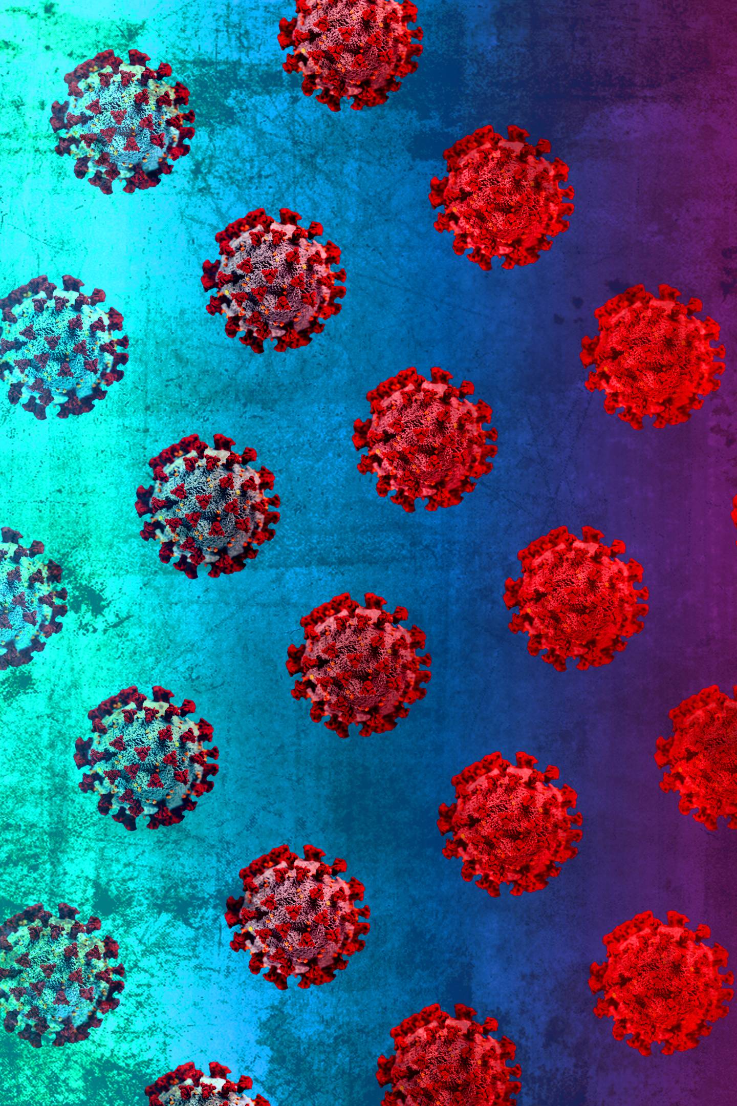 The latest on omicron | Hub