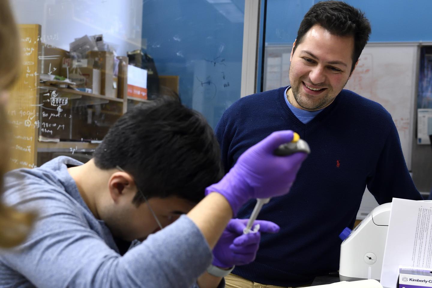 Hopkins chemist awarded New Innovator Award from National Institutes of ...