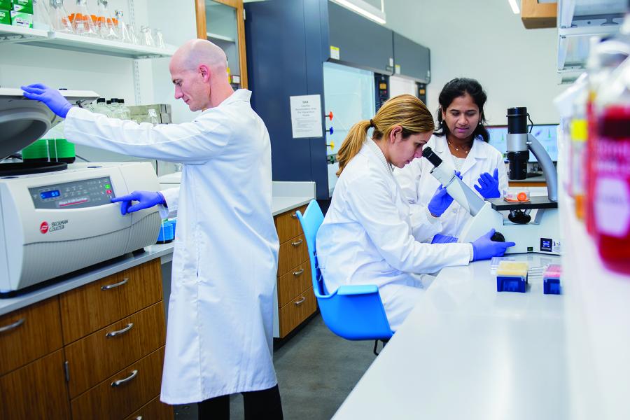 FastForward U launches accelerator program for student startups | Hub