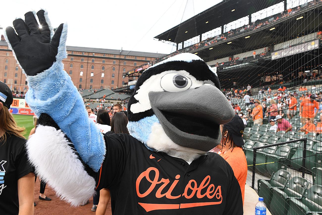 Hopkins Night at Camden Yards is Sept. 4 | Hub