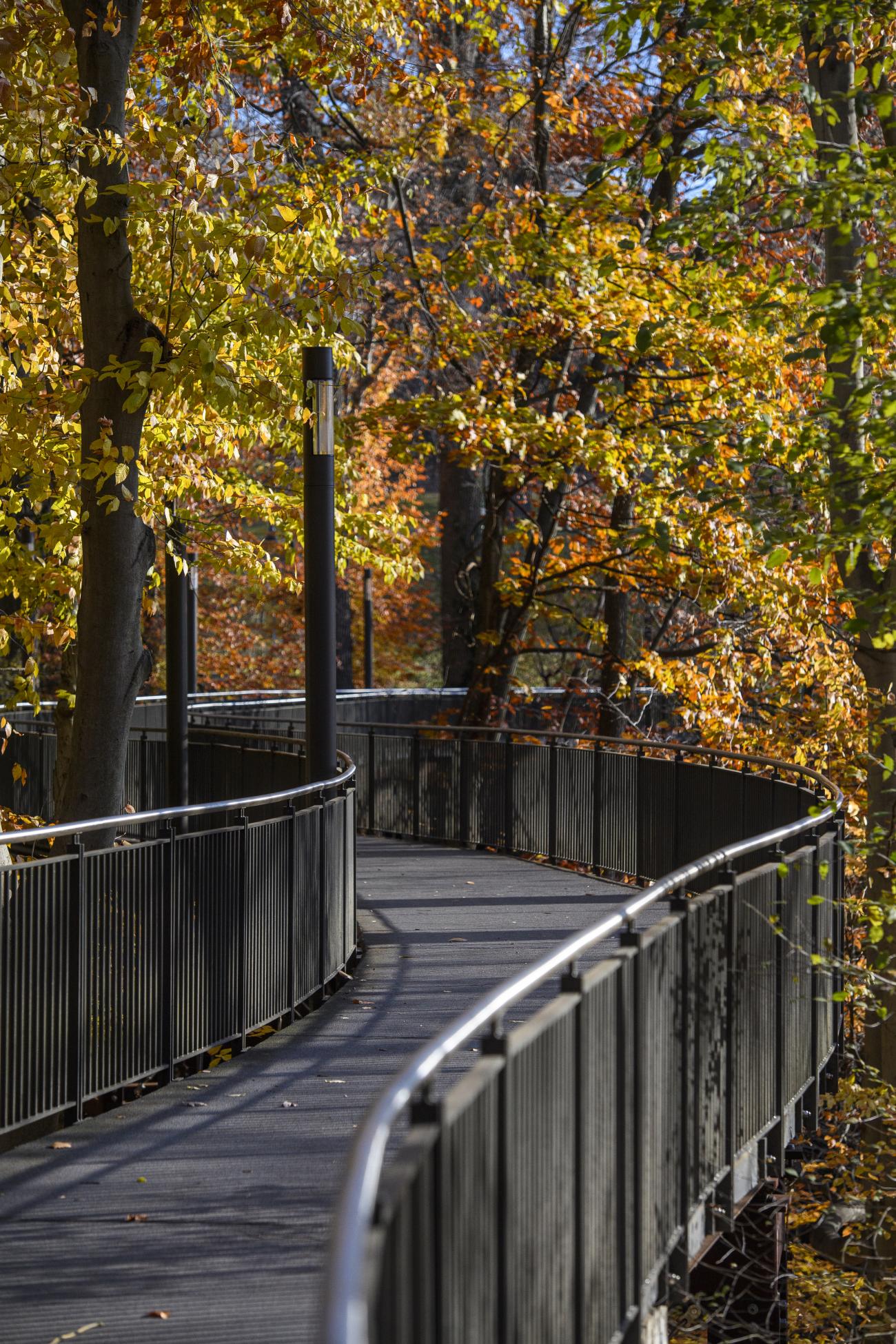 Capturing the perfect Hop-shot | Hub