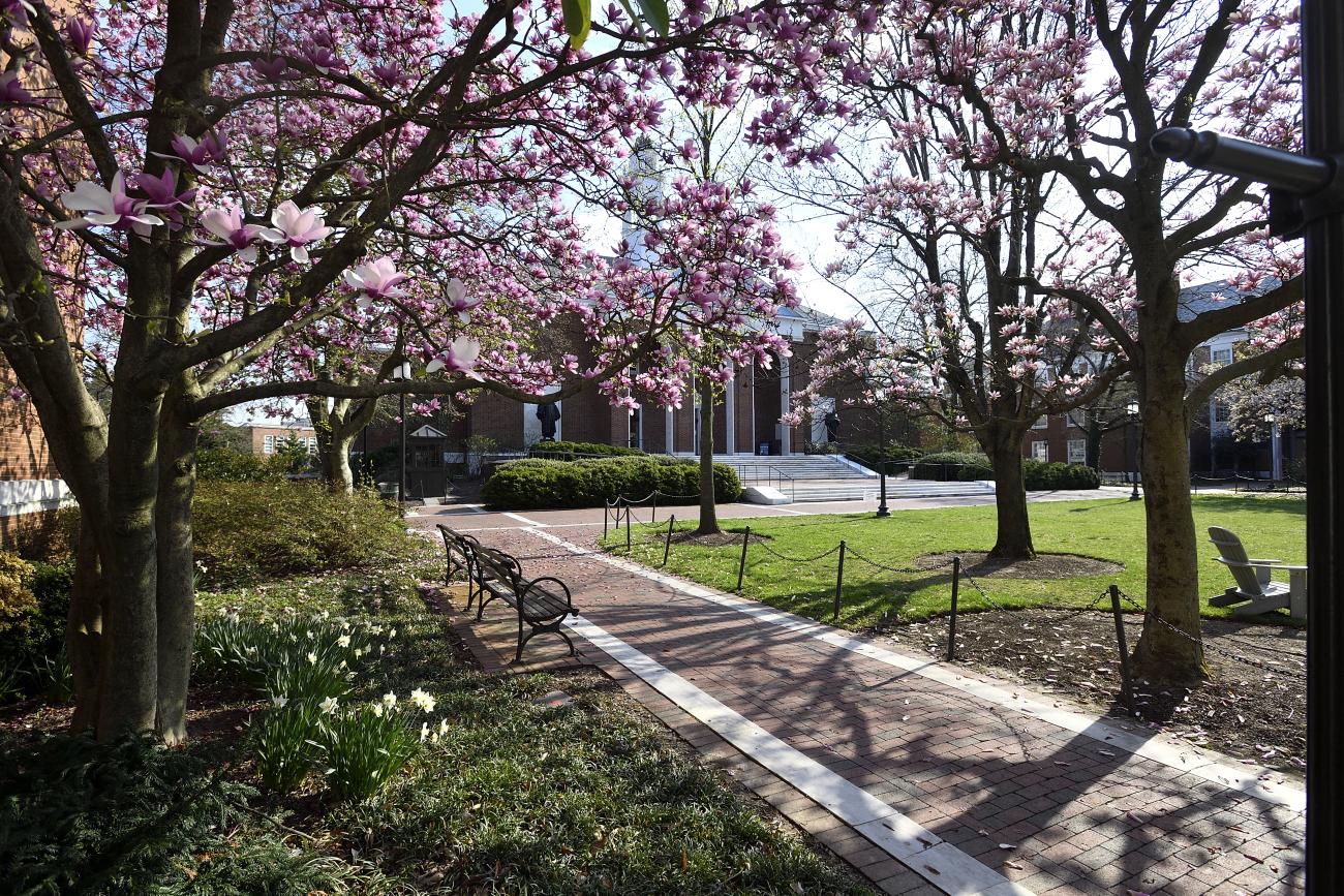 Capturing the perfect Hop-shot | Hub