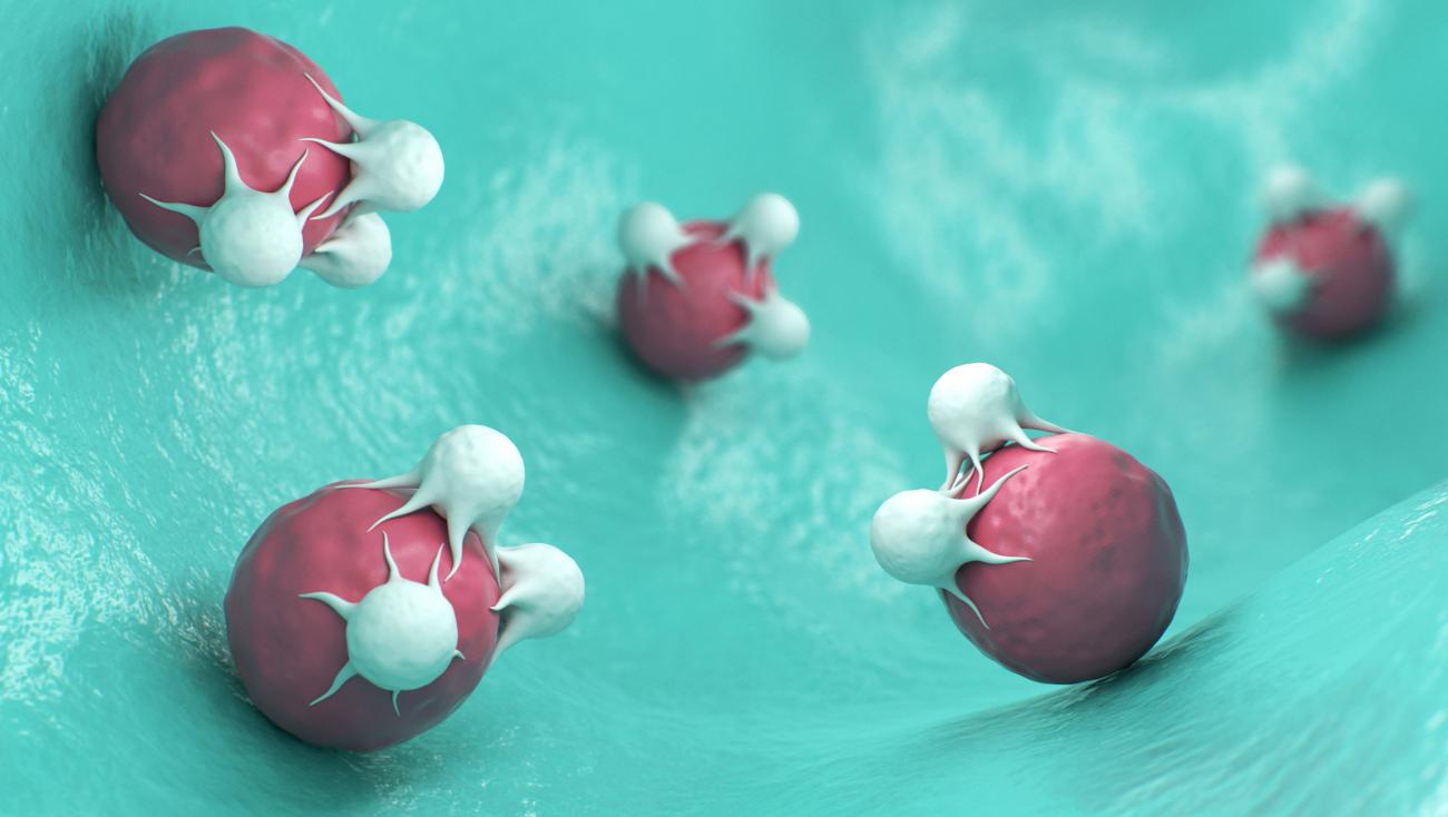 To T-cell: Researchers link immune-cell activity to psychiatric ...