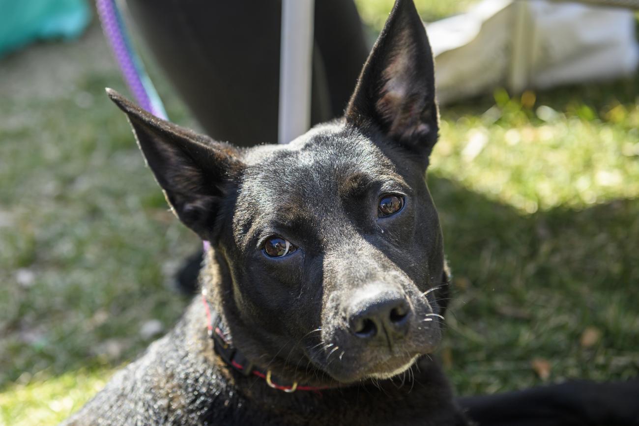 This week in Jay-PEGs: March 4-10 | Hub