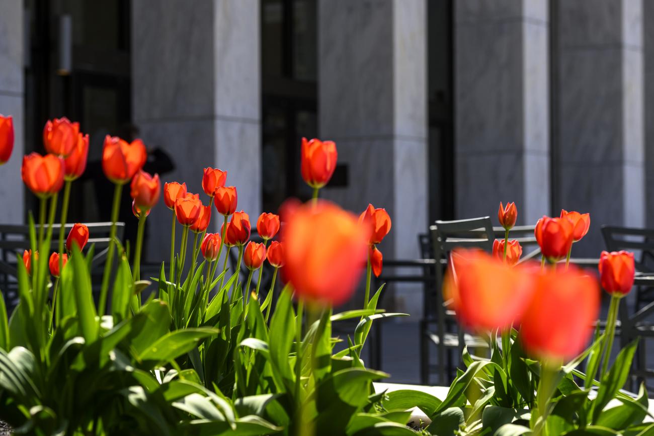 Johns Hopkins graduate programs ranked among nation's best | Hub