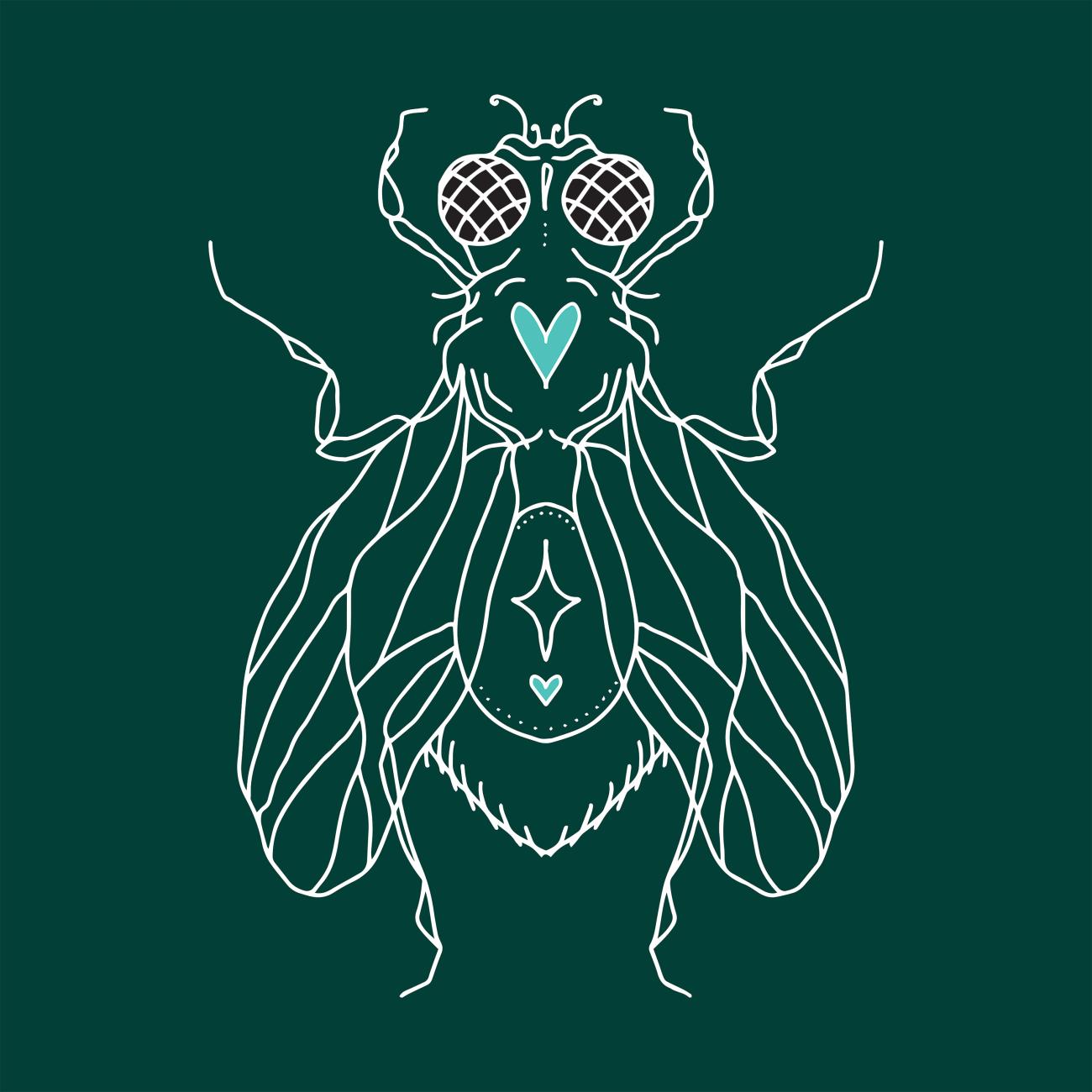 Mapping the insect brain | Hub