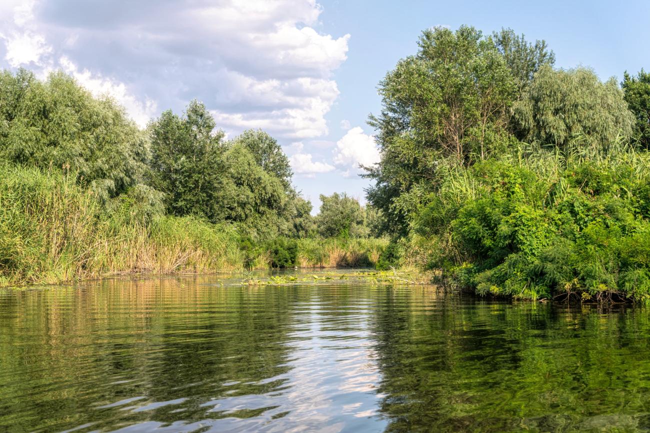 EPA eliminates protections for U.S. wetlands, a major setback for water ...