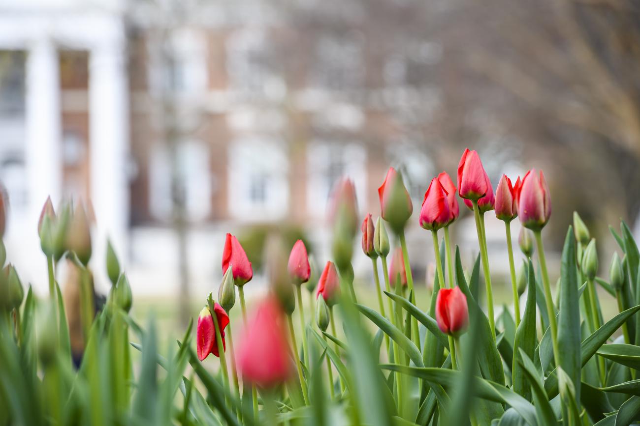 This week in Jay-PEGs: March 21-27 | Hub