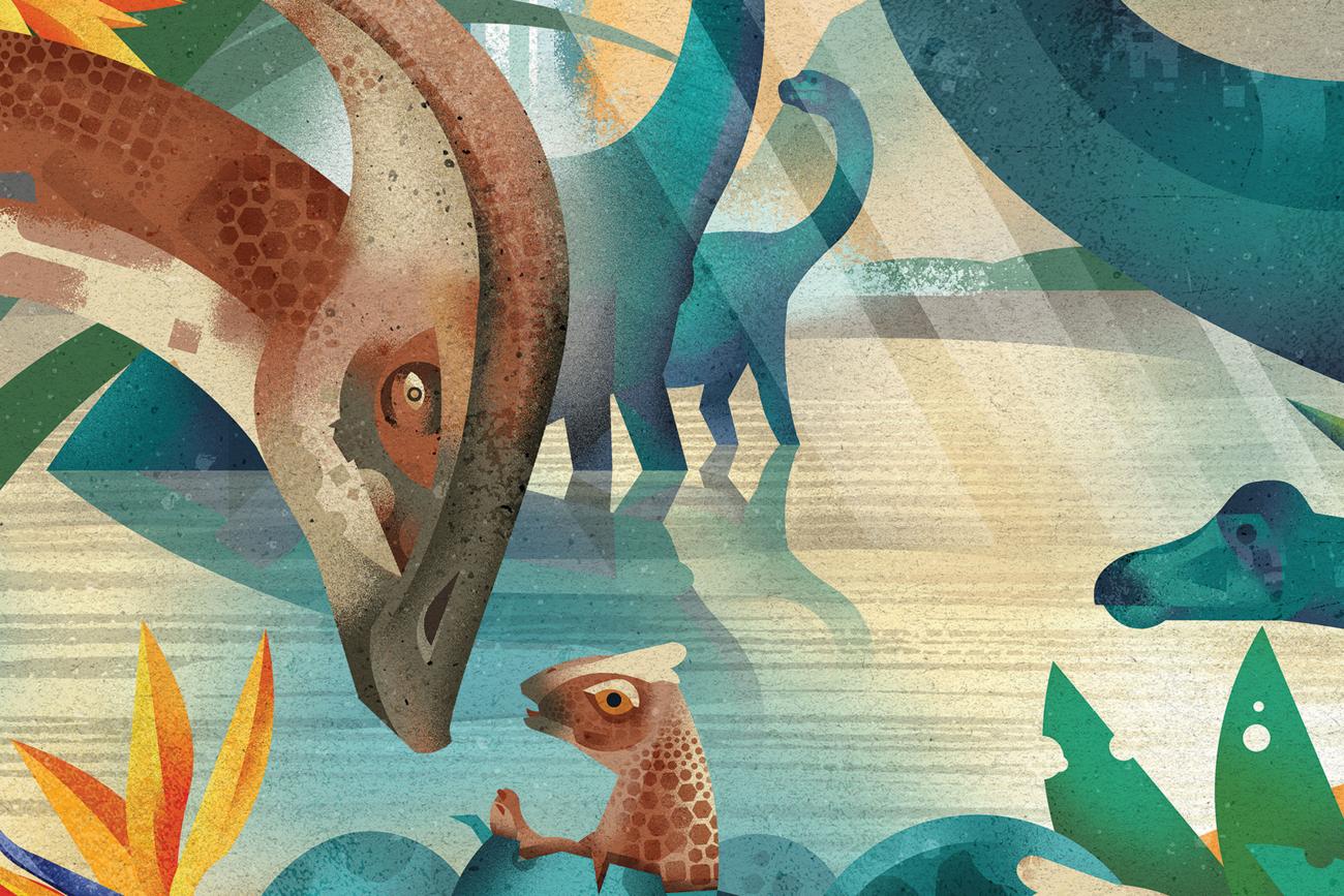 Cracking open the fossil record | Hub