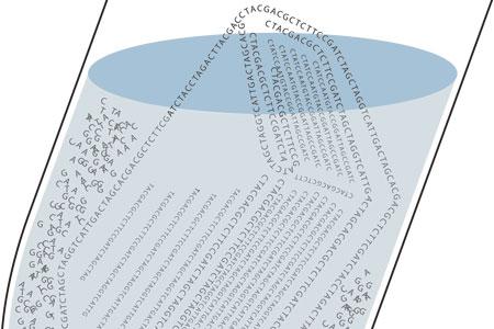 DNA hard drive | Hub