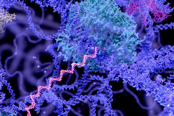 Scientists discover fundamental mechanism that affects how gene ...