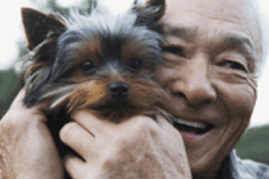 Top 5 health benefits to owning a pet | Hub