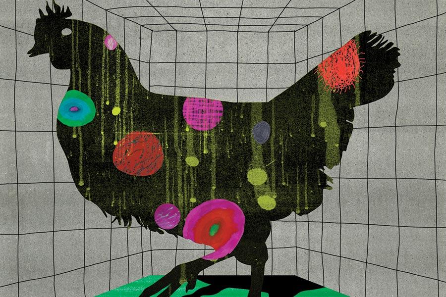 Ellen Silbergeld explores the dangers of industrial meat production | Hub