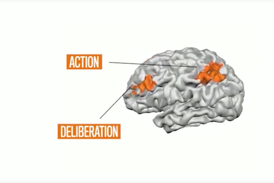 Researchers get a glimpse of what free will looks like in the brain | Hub