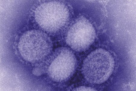APL-led team seeks better understanding of how viruses mutate | Hub