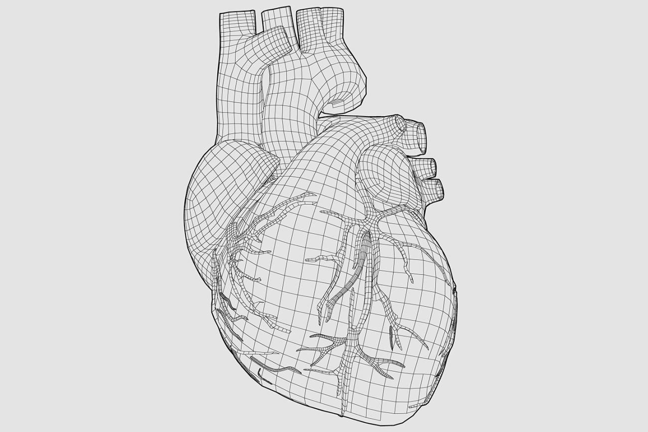 Researchers develop a lab-grown blood vessel graft from natural ...