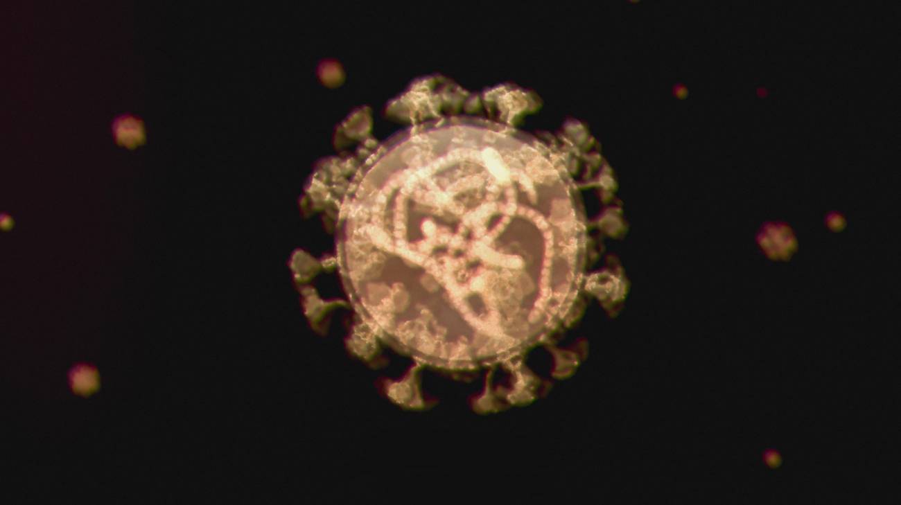 What we know about the omicron variant | Hub