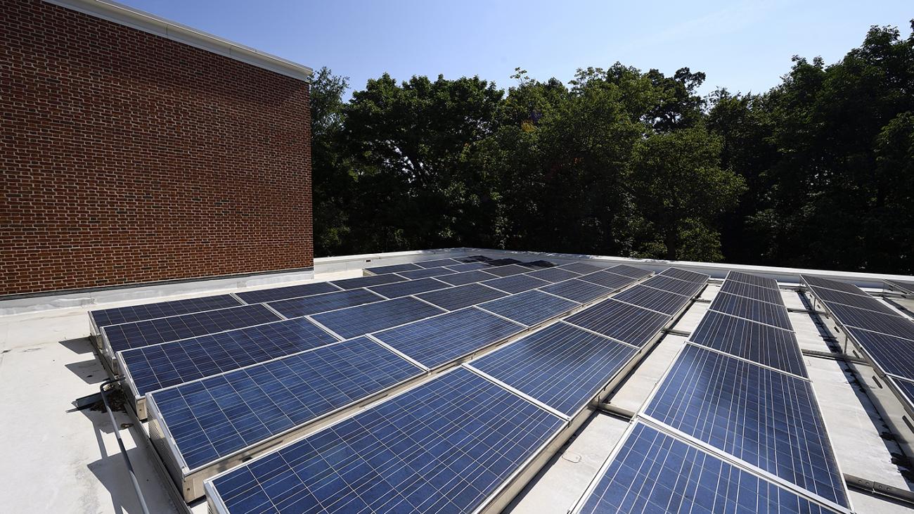 Hopkins renews energy behind its sustainability efforts | Hub