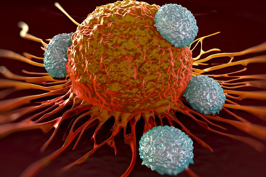 FDA approves cancer drug for personalized immunotherapy approach | Hub