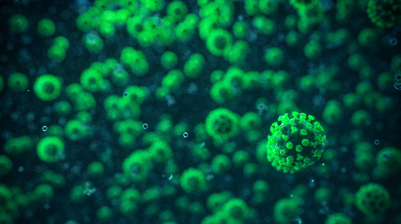 How viruses mutate and what can be done about it | Hub