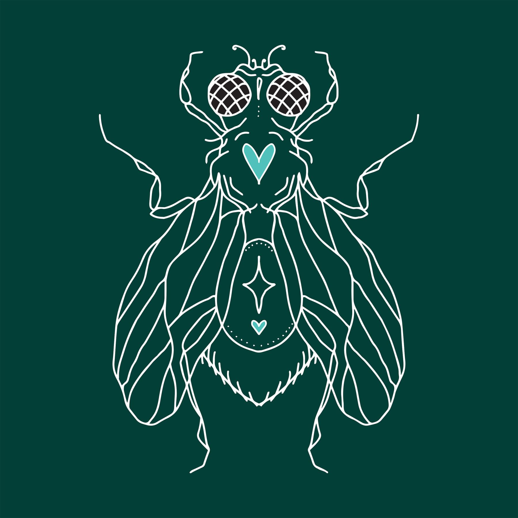 Mapping the insect brain | Hub