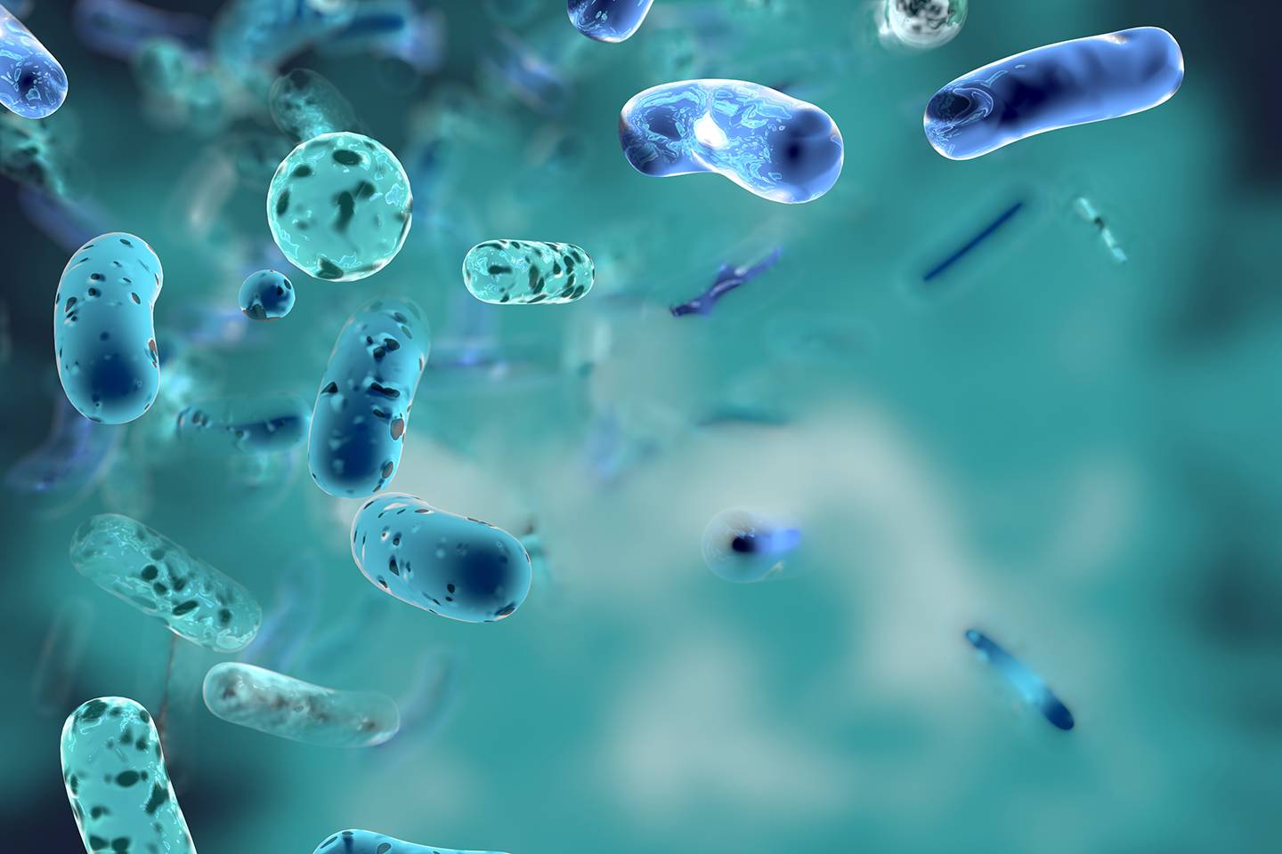 Researchers develop potential antibiotic for drug-resistent pathogen | Hub