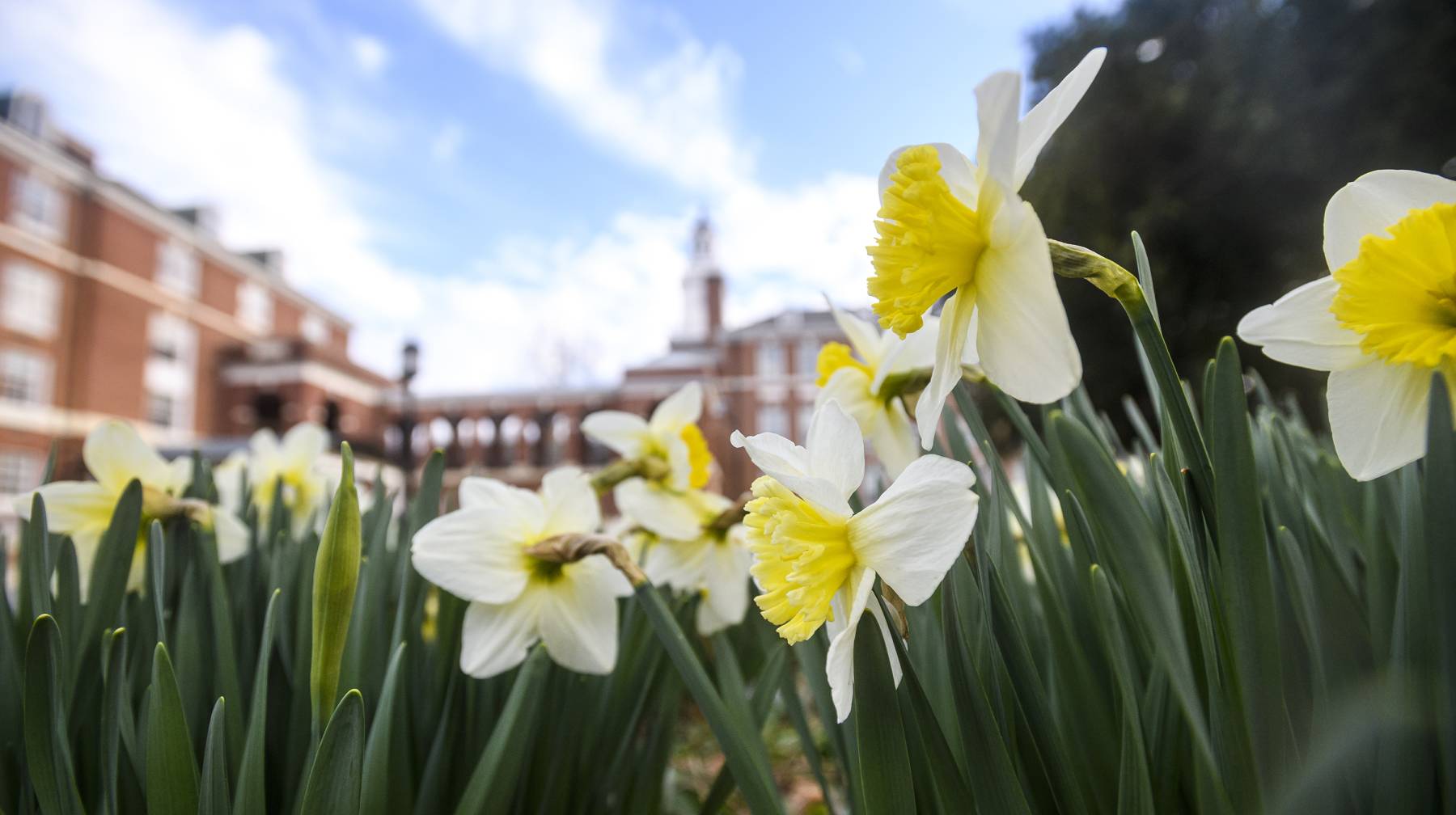 Johns Hopkins graduate programs ranked among nation's best | Hub
