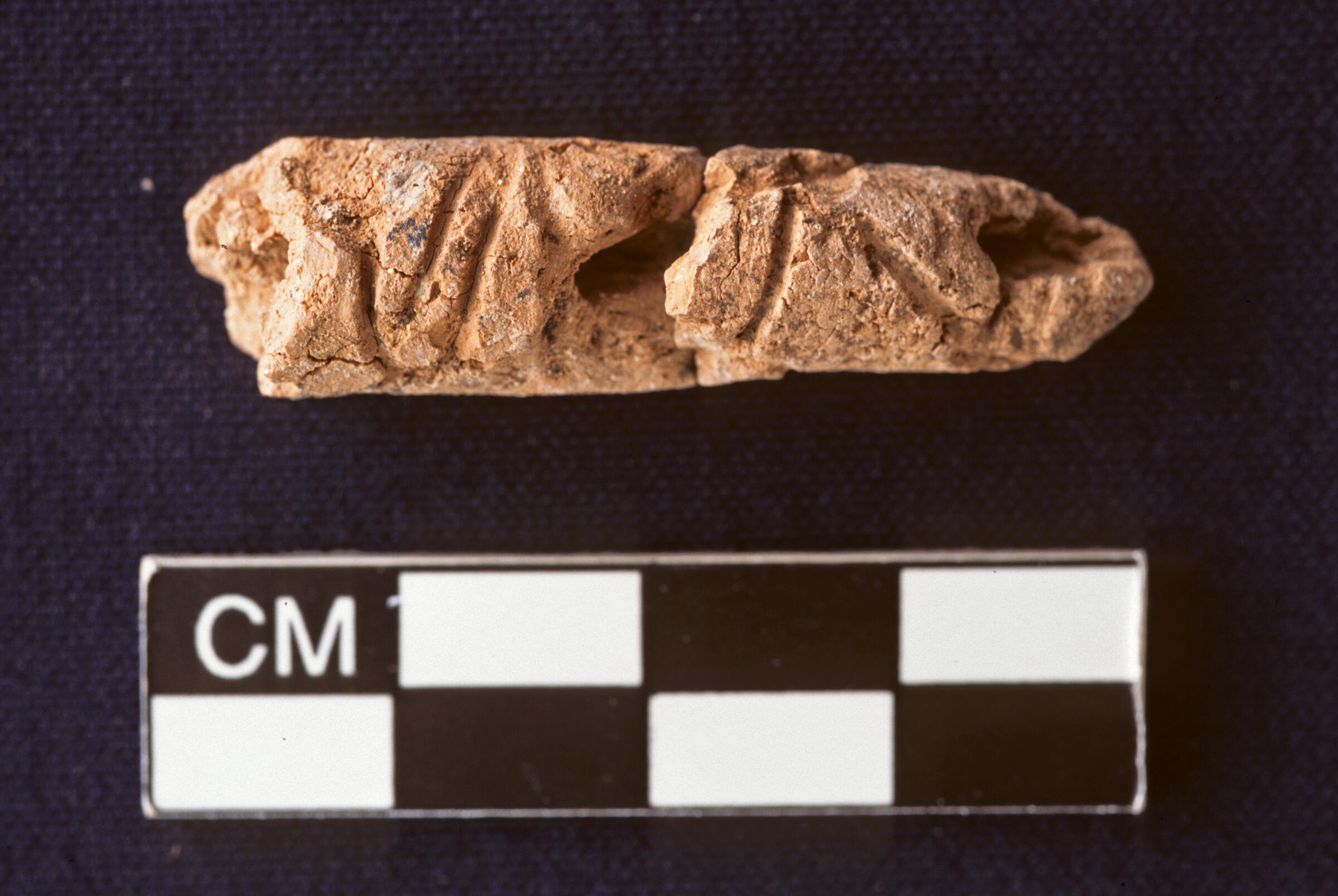 Evidence of oldest known alphabetic writing unearthed in ancient Syrian ...